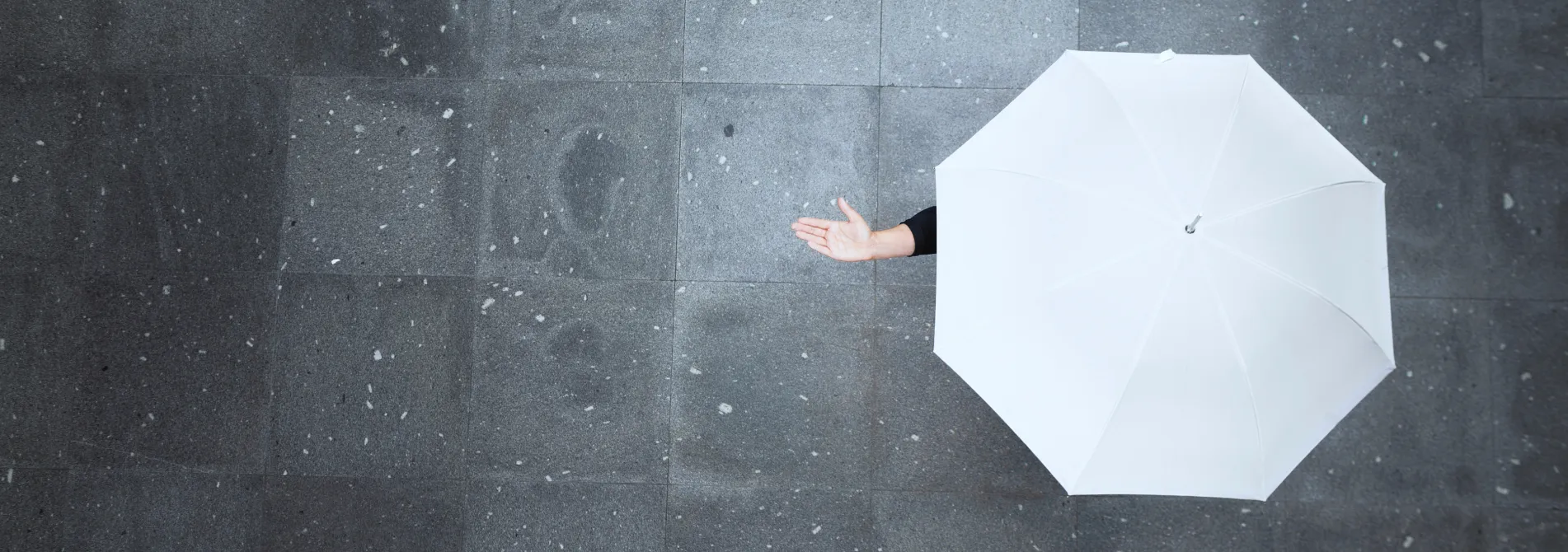 Quantum Logistics International Transport Logistics